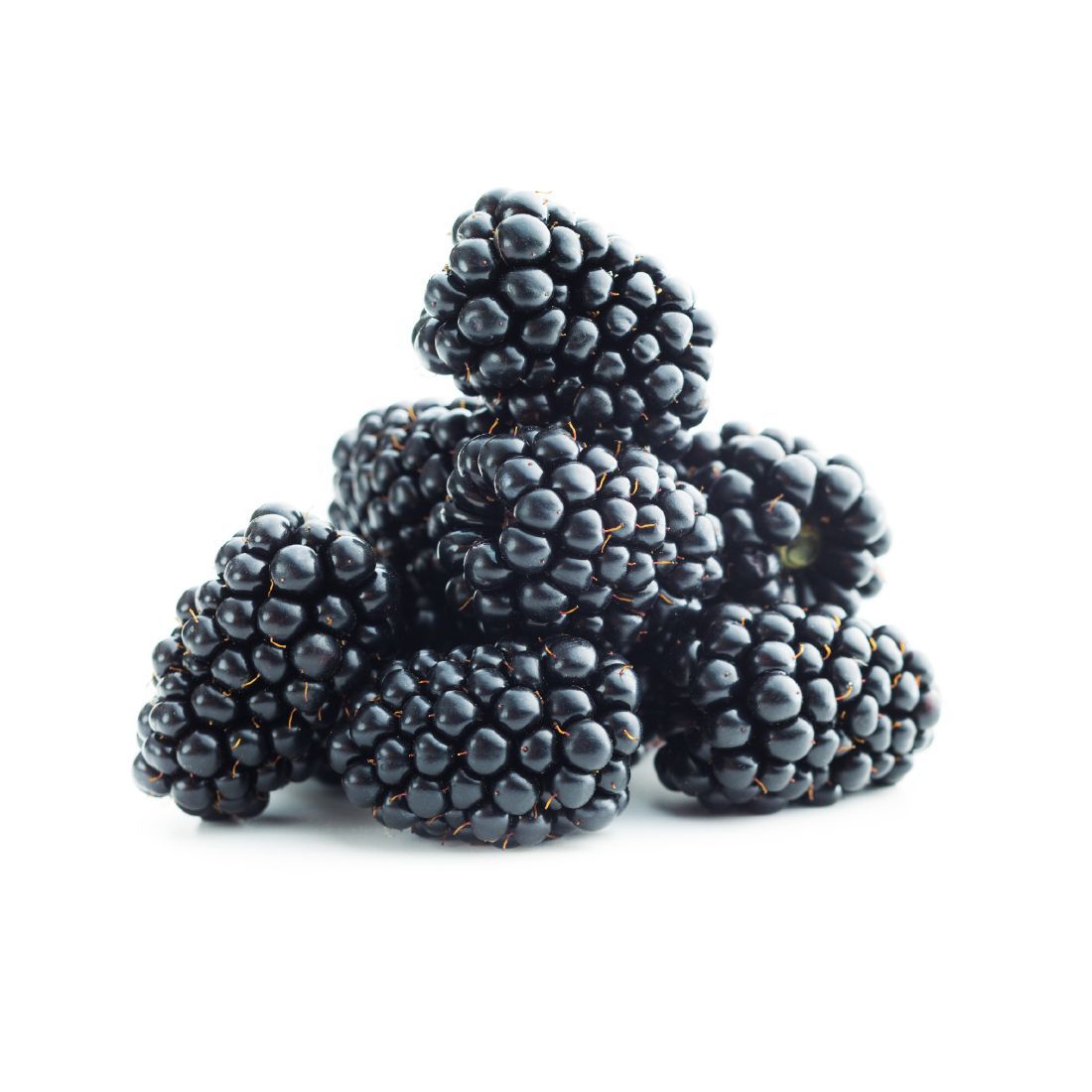 Blackberries in Port Harcourt - Fruit Garden Store