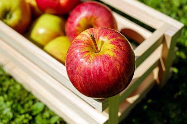 How To Preserve Apples- 7 Delicious Methods